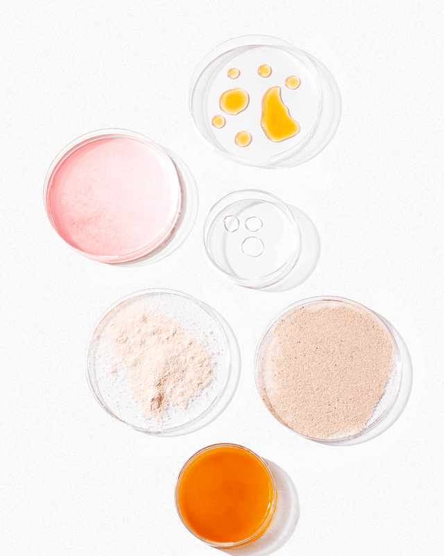 Explore Science Behind Absorption at The Absorption Company
